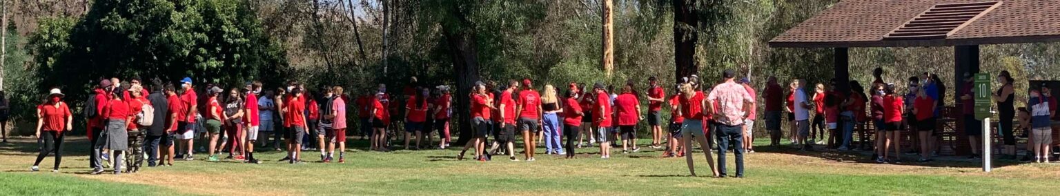 Alexander Neville Foundation